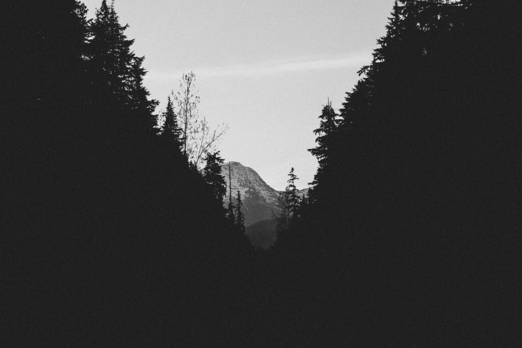 Coolin, Idaho Insider's Guide: Your Passport to Adventure!